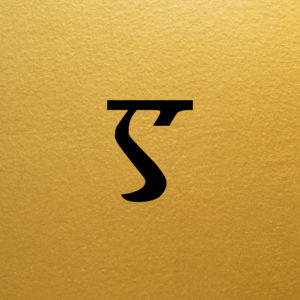 copticliteracy_gamma_lowercase – Coptic Literacy